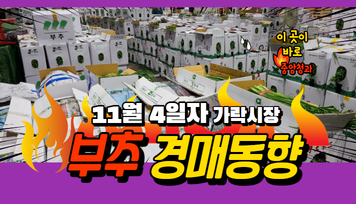 경매사 일일보고 11월 4일자 가락시장 부추 경매동향을 살펴보겠습니다 네이버 블로그
