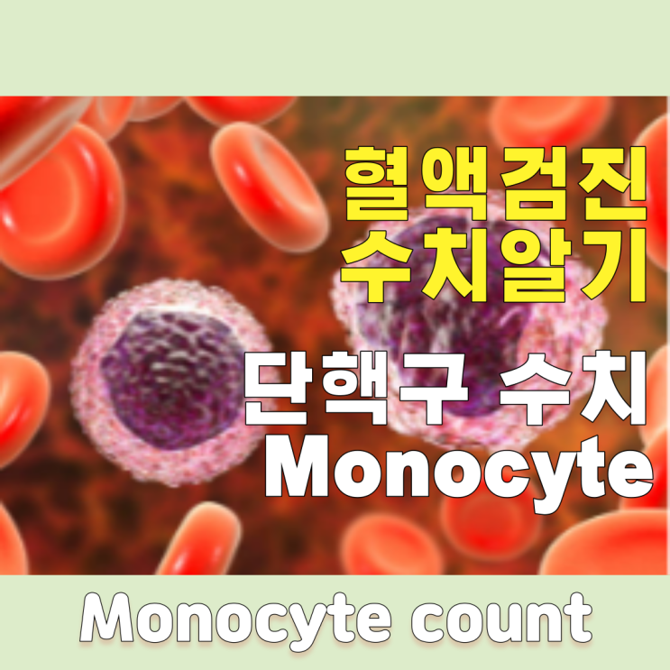 MONOCYTE count 단핵구 수치 알기 (monocytosis, monocytopenia) : 네이버 블로그