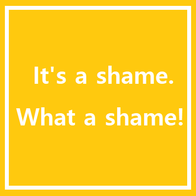It's a shame. What a shame! 수치스럽다? 안타깝다? pity : 네이버 블로그