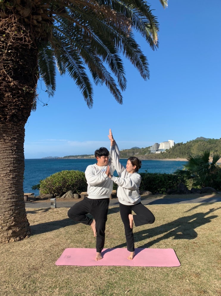제주 요가원데이클래스 새소리 파도 소리 들으면서 하는 바다 요가 체험 다나 요가 네이버 블로그