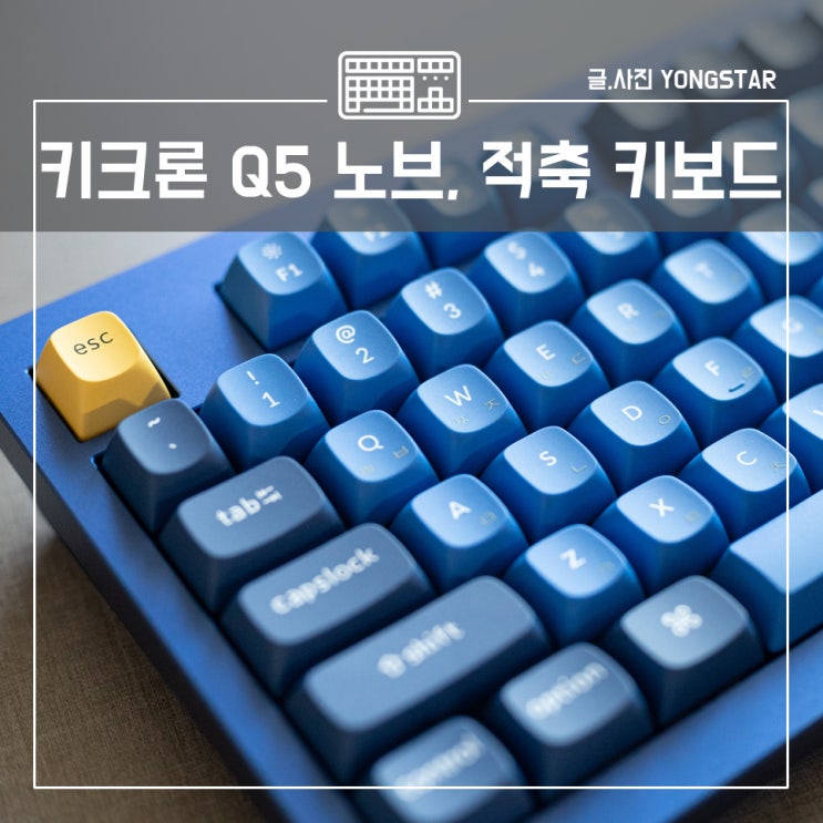 키크론 Q5 노브(Knob) 적축, 커스텀 기계식 키보드의 재미 : 네이버 블로그