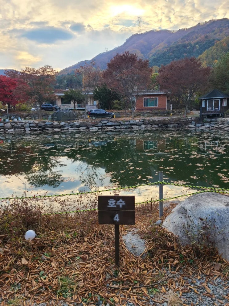단풍낙엽 만끽할 수 있는 가평 캠핑장 유명산밸리캠핑장호수싸이트 이용후기 네이버 블로그
