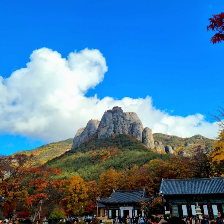 주왕산 단풍놀이 Feat주산지번개모임백숙묵자했잖아바벨하우스정관 피티 Pt 헬스 네이버 블로그