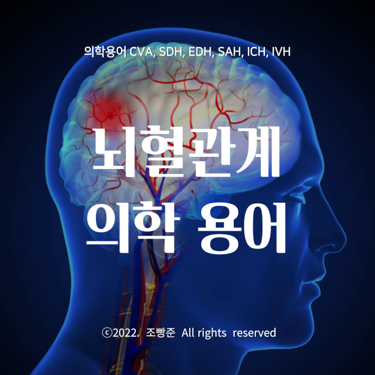 의학용어 CVA, SDH, EDH, SAH, ICH, IVH 뇌혈관계 질환 종류 : 네이버 블로그