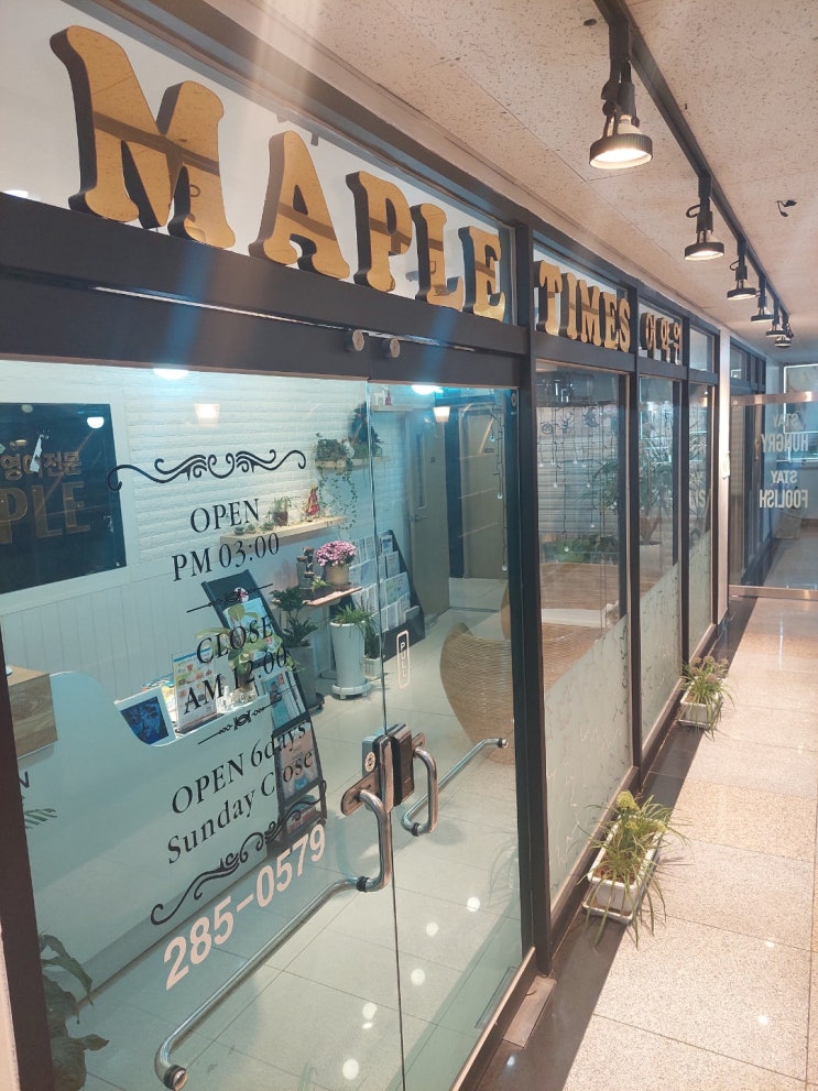 창원 남양동 영어학원 메이플 타임즈 어학원 메이플북스 소개 네이버 블로그