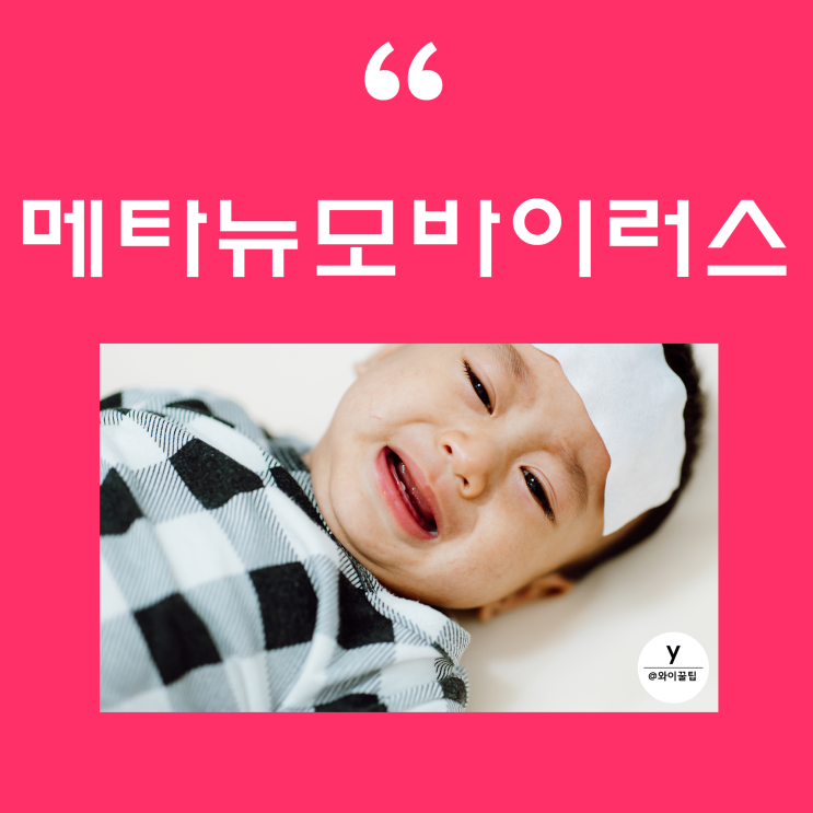 메타뉴모바이러스 원인 증상 열 기침 전염 치료 항생제 입원 성인 아기 네이버 블로그