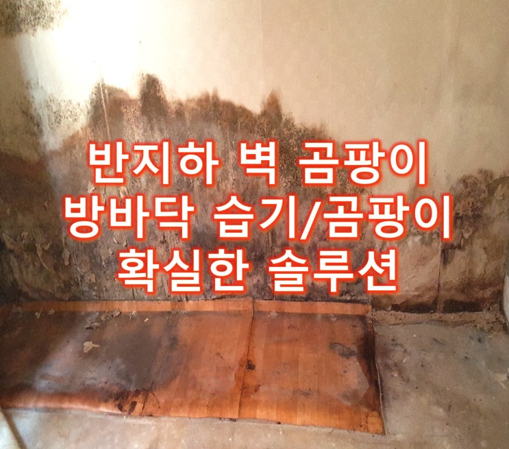 반지하 반지하방 방바닥 습기 곰팡이 방지 반지하 반지하방 벽지 곰팡이 방지 11년 시공 경험으로 알려드리는 확실한 솔루션