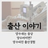 양수새는 증상 느낌 양수터지면 어떻게 40주 양수터지고 출산경험 네이버 블로그