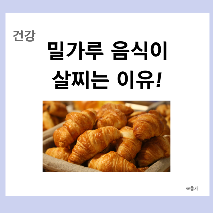 밀가루 음식이 살찌는 이유 밀가루 끊기 효과는 밀가루 중독 자가진단 네이버 블로그