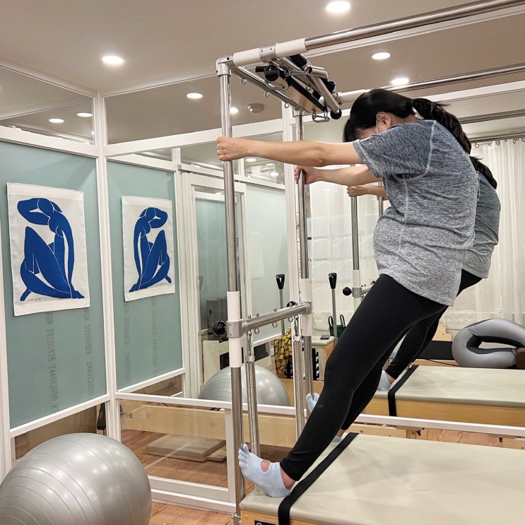 녹양동기구필라테스가능동헬스 의정부헬스장추천의정부운동할만한곳의정부퓨어필라테스의정부임산부필라테스 네이버 블로그