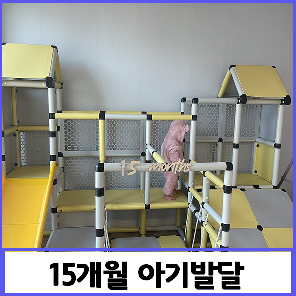 15개월 아기 발달 스케줄 유아식 아기 식단 반찬 간식 놀이 언어 그리고 비행기 무료 네이버 블로그