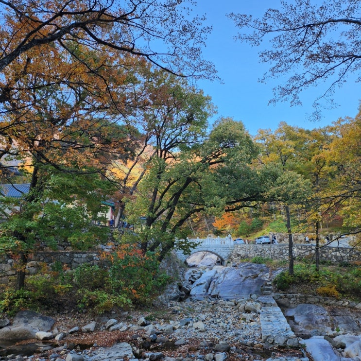 부산 근교 드라이브하기좋은 언양가지산 석남사 단풍놀이추천 : 네이버 블로그