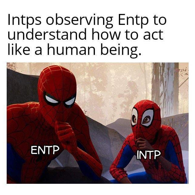 Entp 특징 연애 궁합 연예인 빙고 엔팁 팩폭으로 분석 네이버 블로그