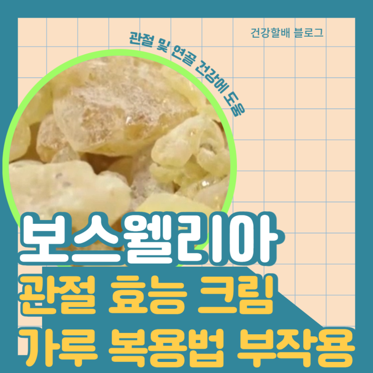 관절 보스웰리아 효능 크림 가루 복용법 부작용 네이버 블로그