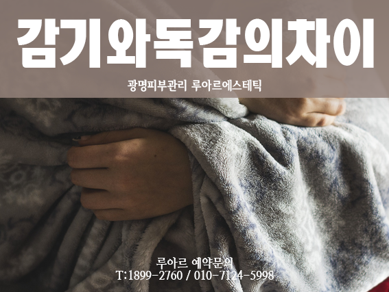 독감과 감기는 무슨 차이가 있을까요 네이버 블로그