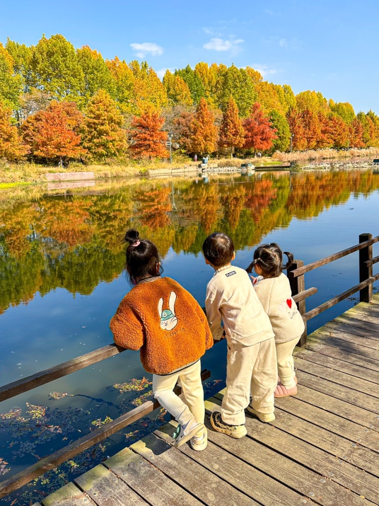 담양 단풍명소 관방제림 근처 국수 맛집 막둥이국수 : 네이버 블로그