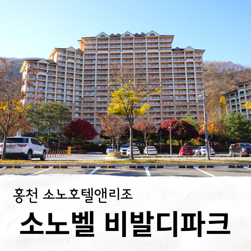 홍천 소노호텔앤리조트 소노벨 비발디파크 패밀리 체크인 숙소 솔직후기 네이버 블로그