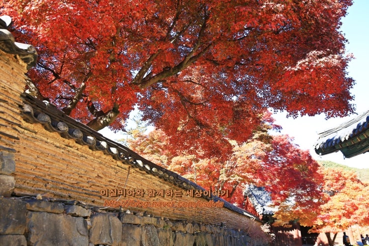 충남 가볼만한곳 공주 가을 단풍 여행 공주 마곡사 가볼만한 유명한 절 네이버 블로그