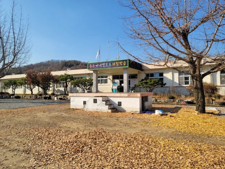 충주 캠핑장 유년시절 감성 캠핑장 경기도 인근 충주 비내오토캠핑장 리뷰 애견동반 캠핑장 네이버 블로그