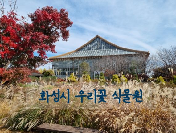 화성시 우리꽃 식물원 아기랑 주말 유모차 나들이 이용 후기 네이버 블로그