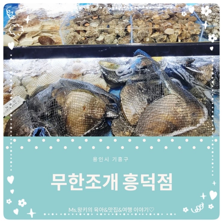 광교and용인기흥 조개구이 무한리필 맛집 무한조개 흥덕점 내돈내산 리얼 방문 후기 네이버 블로그