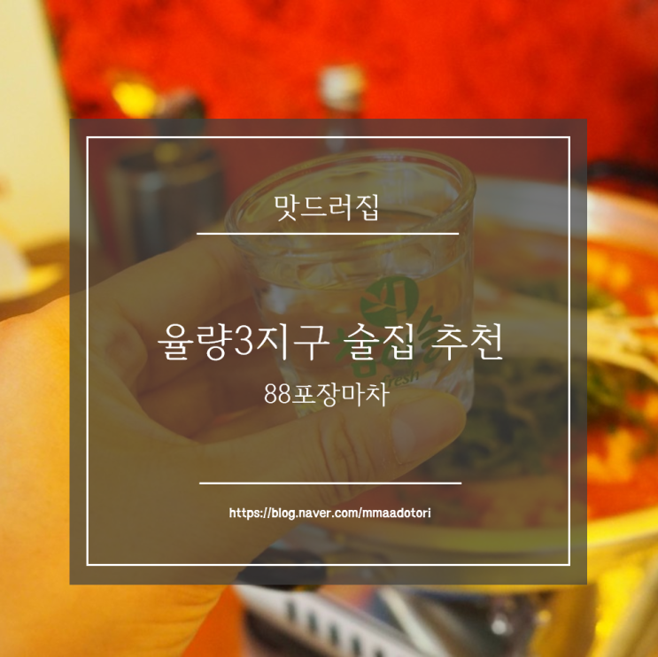 청주율량동술집 율량동 율량3지구 실내포장마차 추천 율량동 술집 분위기좋은 술집추천 안주가 맛있는 술집 88포장마차