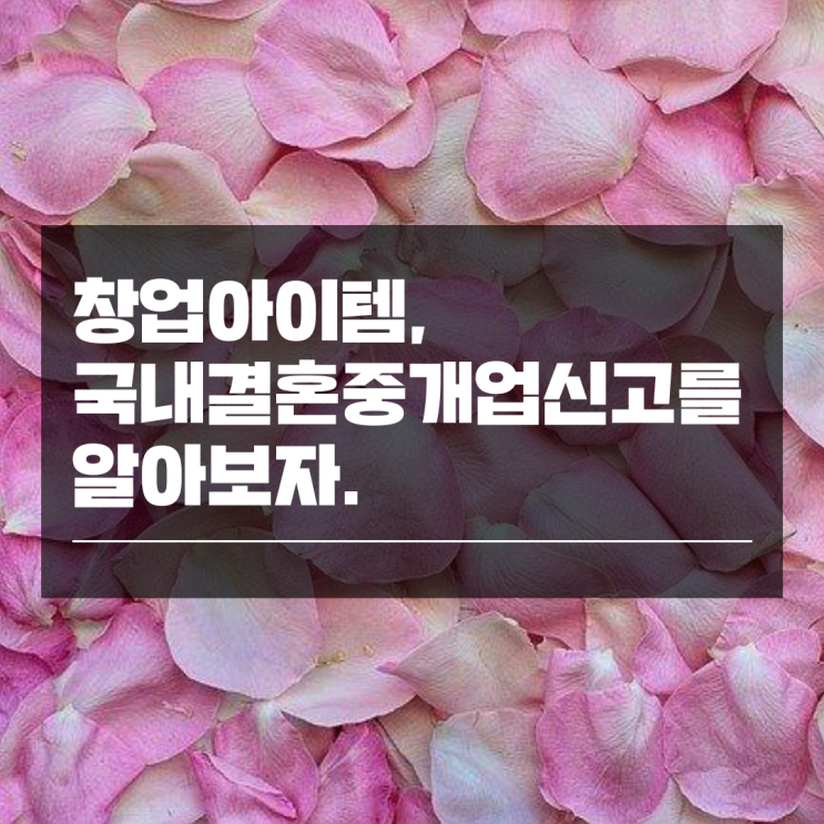 창업아이템 국내결혼중개업신고를 알아보자 네이버 블로그