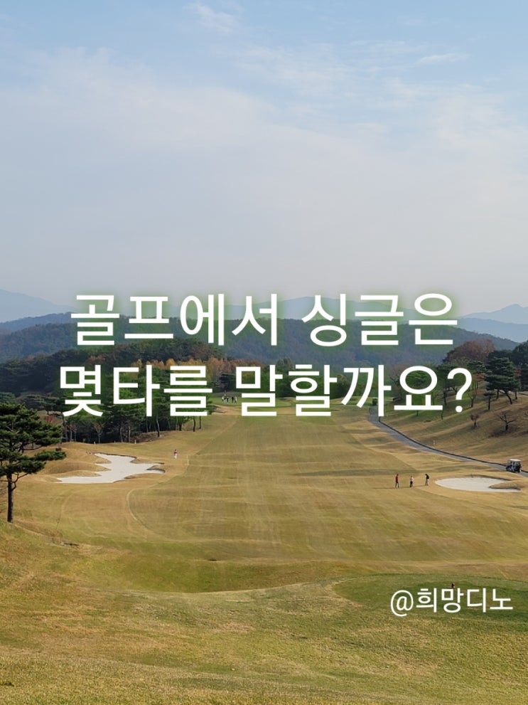 골프 용어에서 싱글은 몇타를 말하는 걸까요? : 네이버 블로그