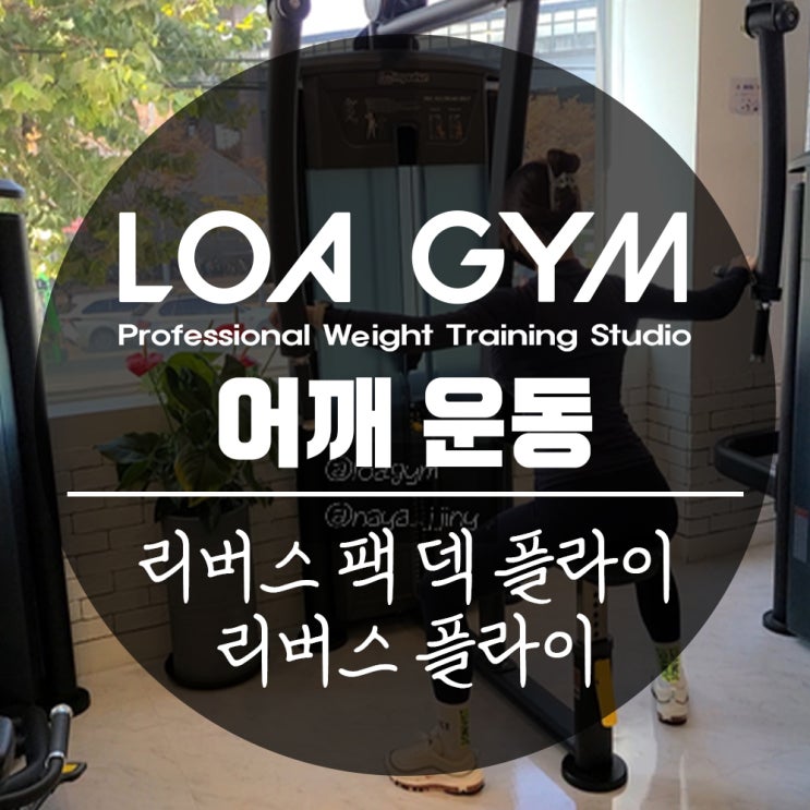 종암동헬스장 로아짐 박진영 트레이너 리버스팩덱플라이리버스플라이 네이버 블로그