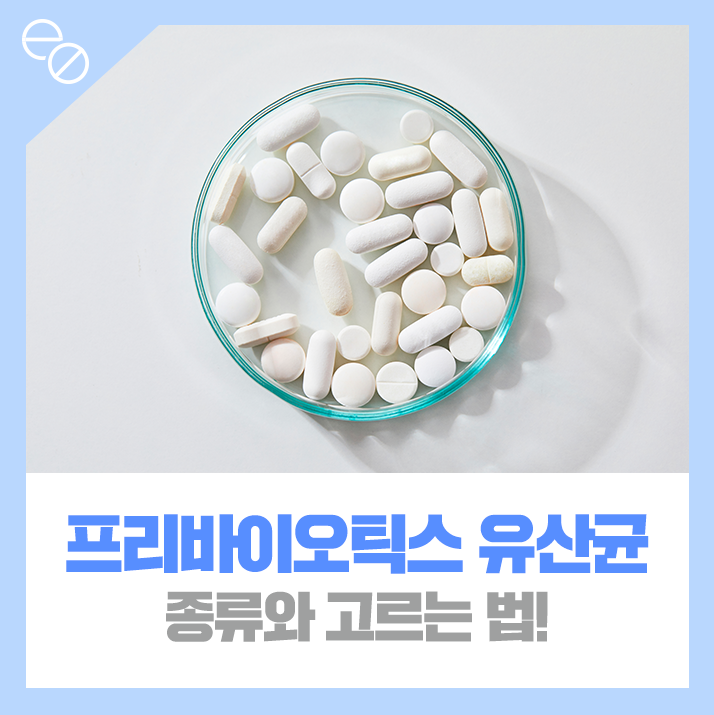 프리바이오틱스 유산균 종류와 고르는법 네이버 블로그