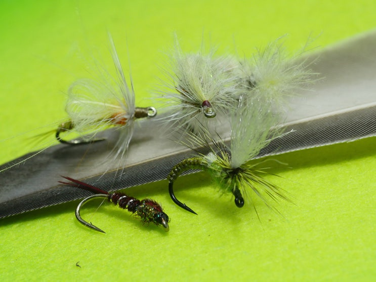 Emerger fly fishing #2 (이머저 플라이 피싱) : 네이버 블로그