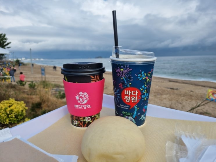 강원도 속초 카페거리 고성 바다정원 카페 오션뷰 커피 크림치즈빵 네이버 블로그