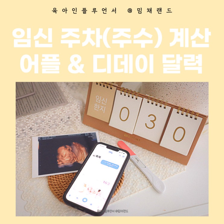 임신 주차 계산 임신주수계산기 어플 And 신생아 디데이달력 네이버 블로그