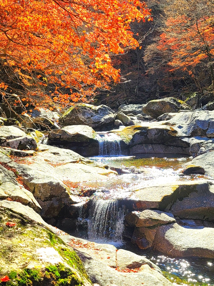 지리산 , 만추의 황홀한 뱀사골 계곡에서 .......... : 네이버 블로그