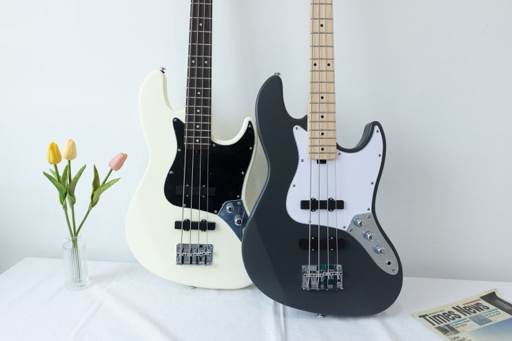 드디어 나온 HEX 베이스기타 입문용 헥스 B100 : 네이버 블로그