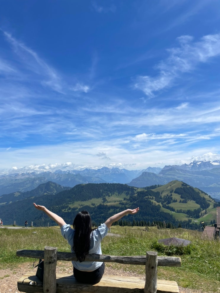 신혼여행 코로나 7월 스위스 여행🇨🇭6일차 산의여왕 리기 루체른 추천 여행지 🌄베기스마을 홀리카우 버거🍔 네이버 블로그