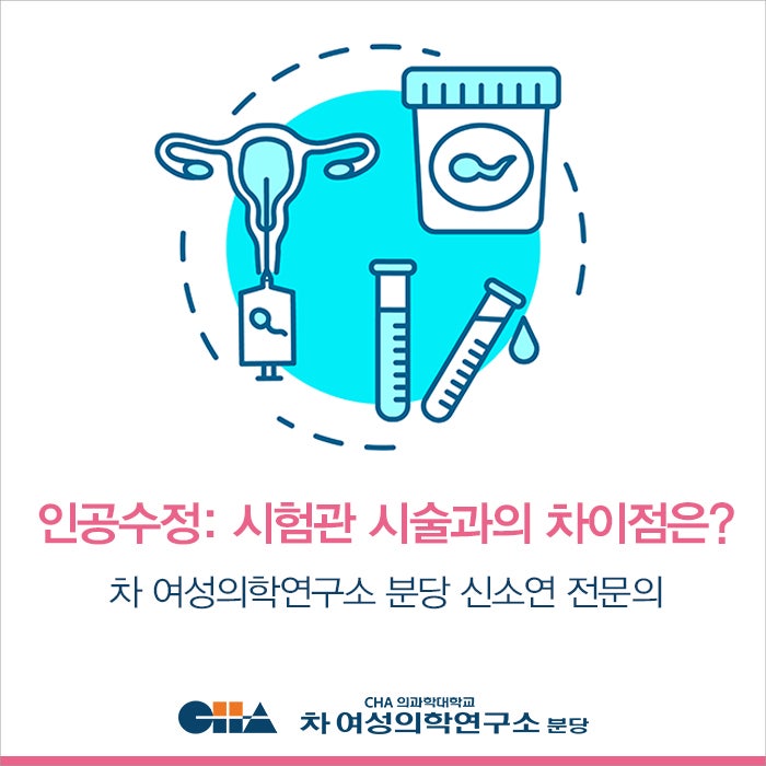 인공수정 시험관 시술과의 차이 임신 성공률은차 여성의학연구소 분당 신소연 교수 네이버 블로그