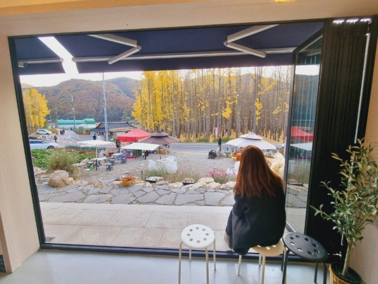 경주 도리마을 카페, 도리47, 은행나무 뷰, 먹거리, 어묵, 라면, 파전, 붕어빵 판매~! : 네이버 블로그