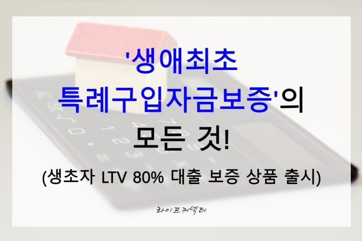 생초자 LTV 80% 대출 보증 상품 출시 (생애최초 특례구입자금보증의 모든 것!) : 네이버 블로그