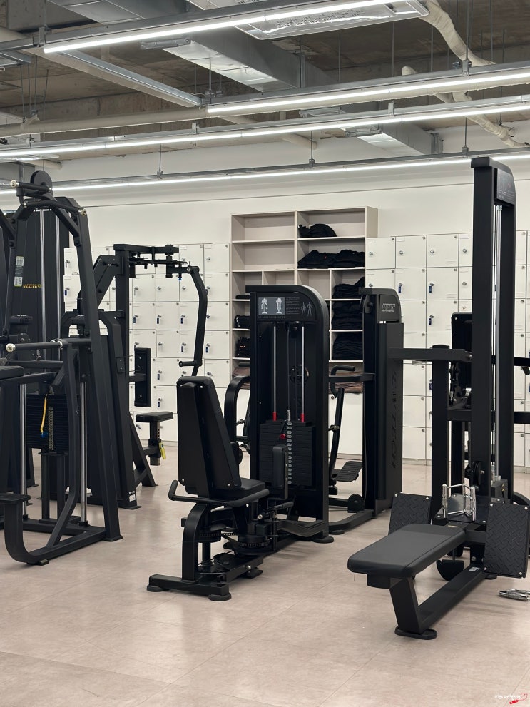 강남 피티 :: 핏투핏(FIT2FIT) 양재 헬스장 : 네이버 블로그