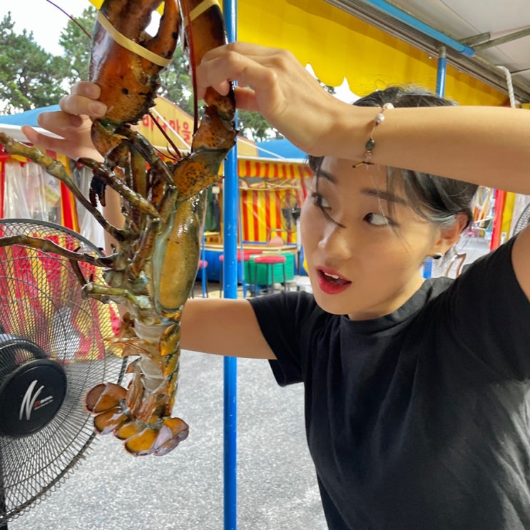 부산 해운대 포장마차촌 랍스터코스로 포차거리 감성 제대로 즐기기 네이버 블로그