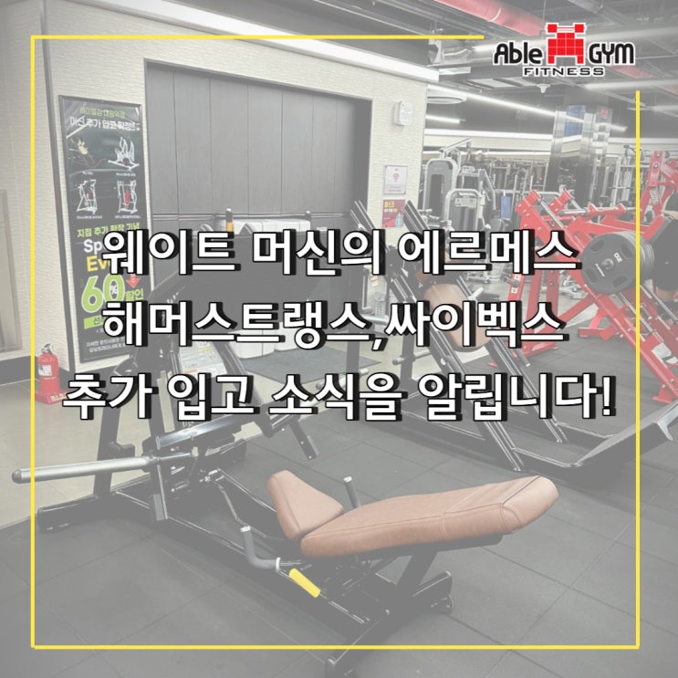 대림헬스장 에이블짐 대림역점에 명품머신 해머스트랭스와 싸이벡스 추가입고 소식을 알립니다 네이버 블로그