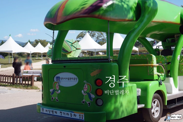경주 아이와 가볼만한곳 비단벌레차 예약부터 탑승후기까지 네이버 블로그