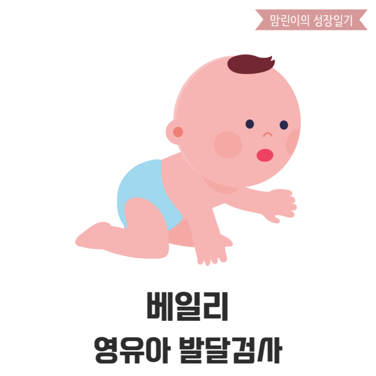 베일리 영유아 발달검사 아기 발달 지연 살펴보기 네이버 블로그
