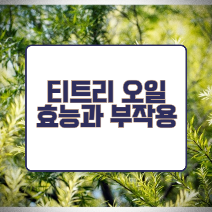 티트리오일 효능 부작용 여드름 무좀에 써도 될까 네이버 블로그