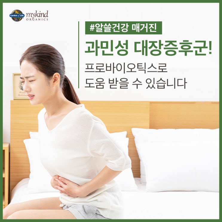 프로바이오틱스 효능 프로바이오틱스가 과민성 대장증후군ibs에 도움이 될까 네이버 블로그