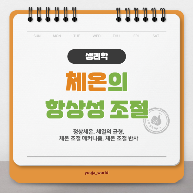 생리학 체온의 항상성 조절 정상체온 체열의 균형 체온 조절 메커니즘 체온 조절 반사 네이버 블로그