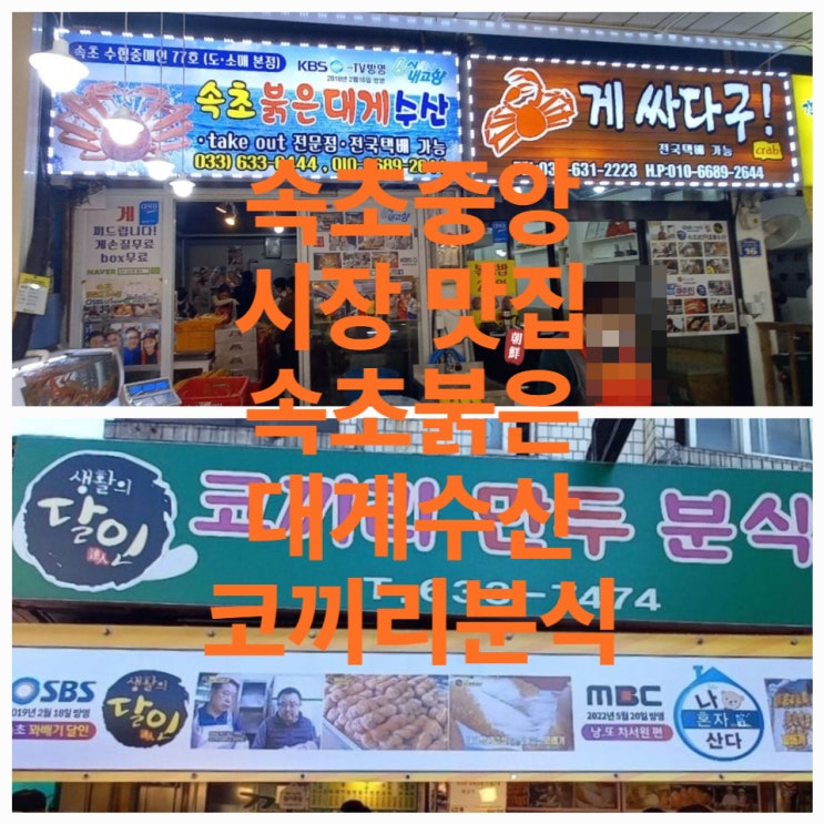 속초 갈만한 곳 속초 중앙시장 맛집 1편 속초 붉은 대게 수산 And 코끼리 분식 네이버 블로그