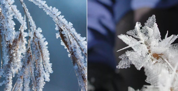 fall/winter ops Prep : 네이버 블로그