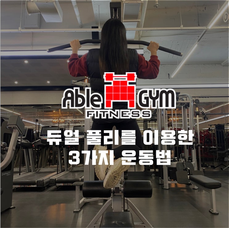 운동상식 암사pt 암사역pt 강동구pt 듀얼 플리를 이용한 3가지 운동법 강동구 여자트레이너 에이블짐암사점